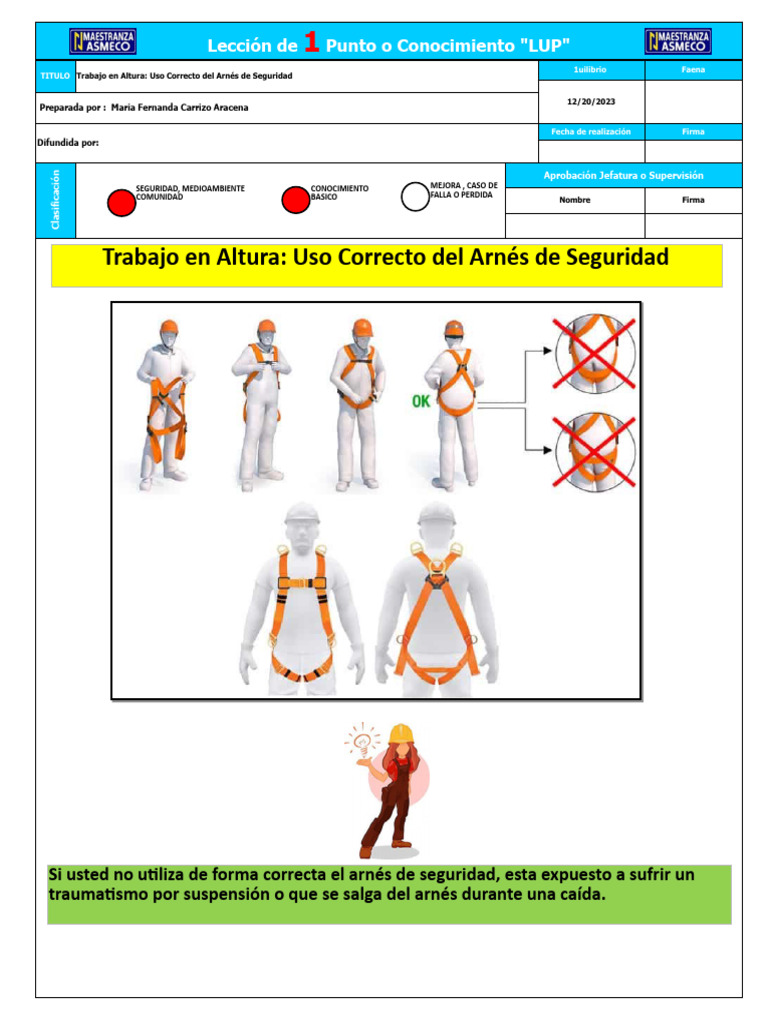 LUP Uso Correcto Del Arnés de Seguridad. | PDF
