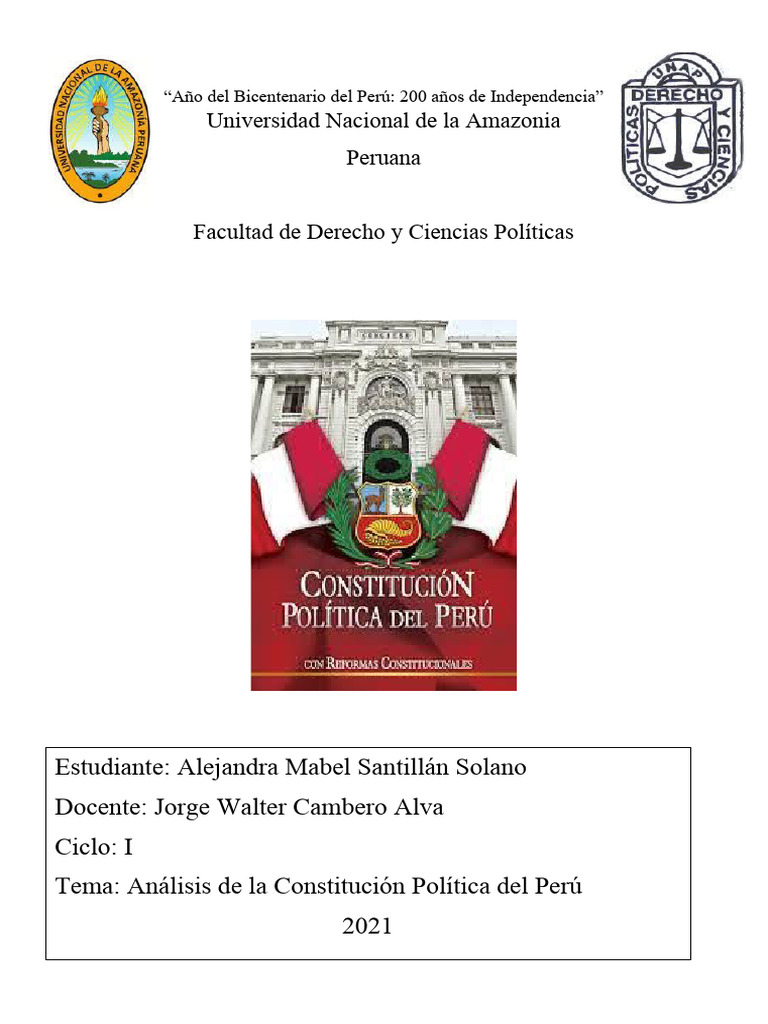 Analisis de La Constitucion | PDF