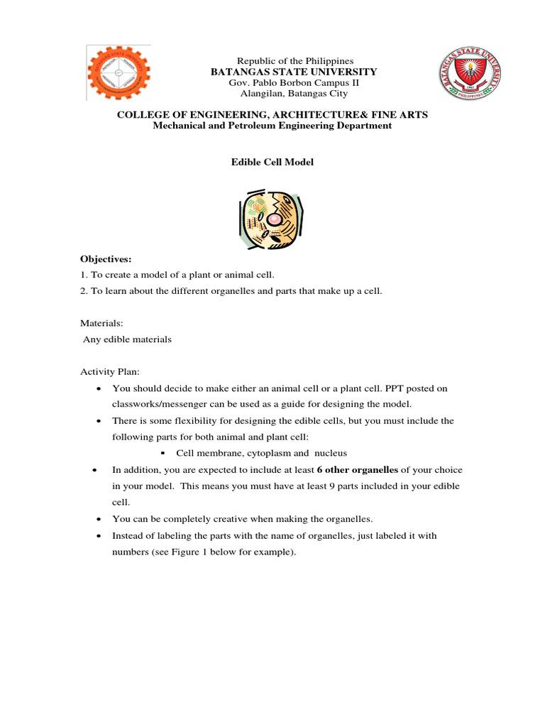 Edible Cells Activity Plan | PDF