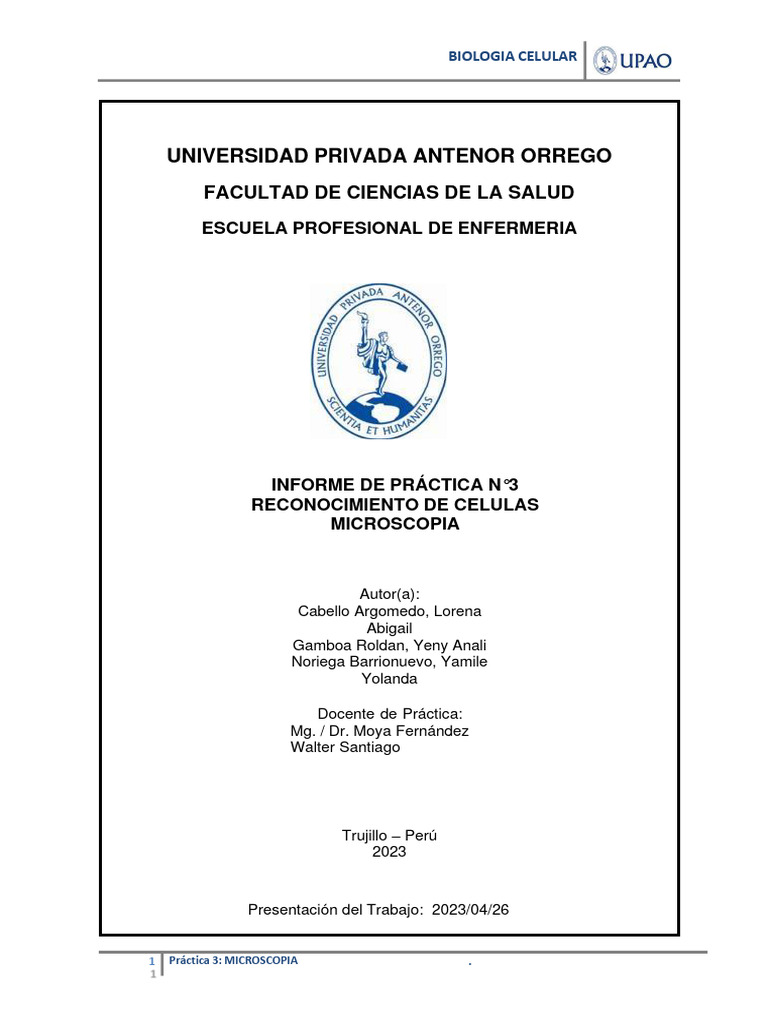 Informe Micros | PDF