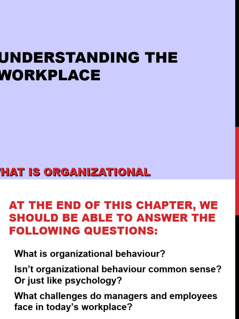 Chapter 1 Lecture - What is Organizational Behaviour | PDF