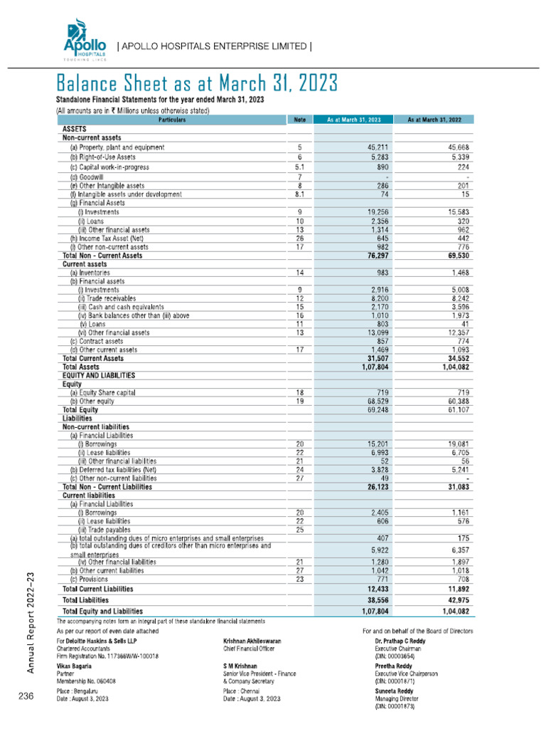 Apollo Hospital Balance Sheet | PDF