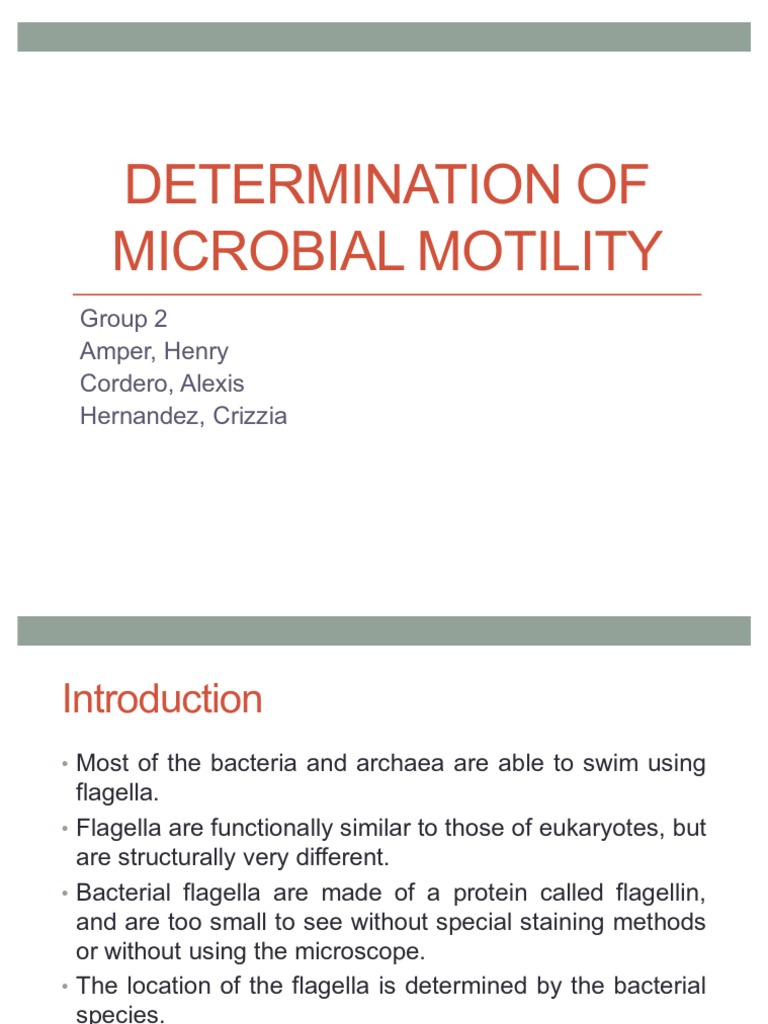 Determination of Microbial Motility | PDF | Home & Garden | Science ...
