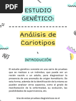 Cariotipo y Cariograma | PDF