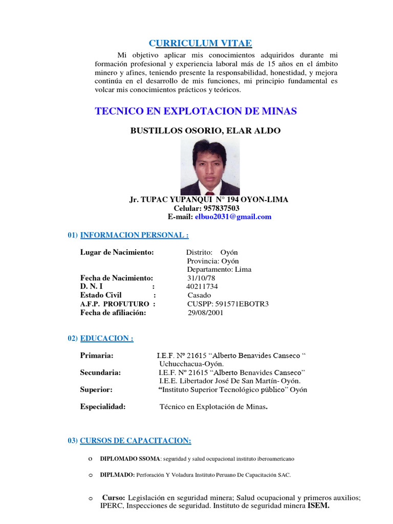 CV Elar Bustilos | PDF