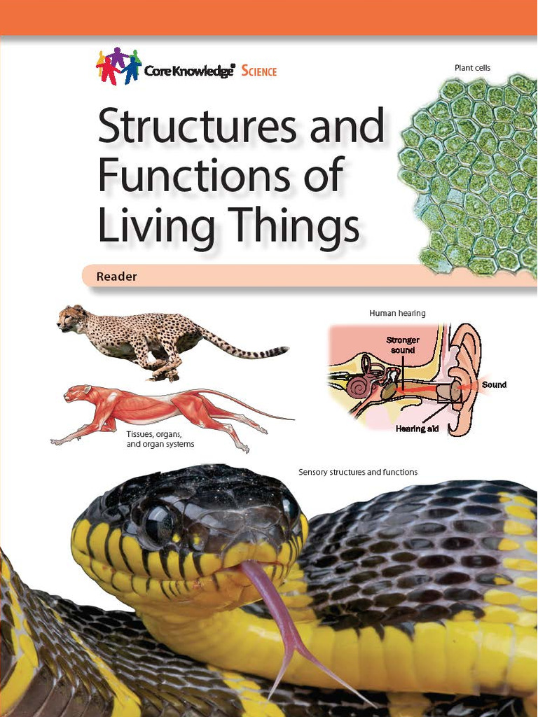 G4S - U3 - Structure Function - SR | PDF