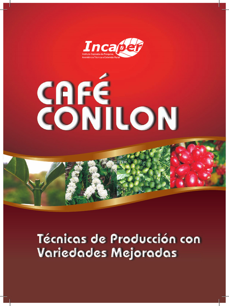 Producción de Café Conilon Mejorado | PDF | café | Agricultura