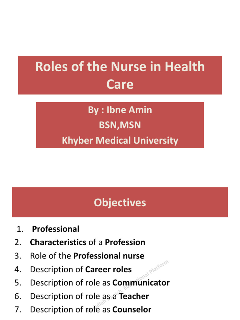 Role of Nurse in Health Care | PDF