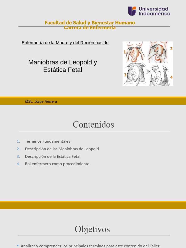 Wepik Armonia en Movimiento Desvelando El Arte de Las 4 Maniobras de Leopold y La Estatica Fetal ...