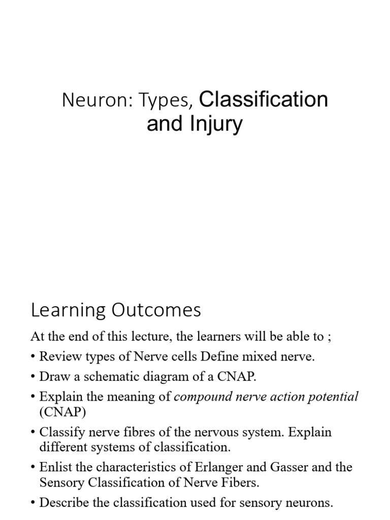 Classification of Nerve Fibers | PDF