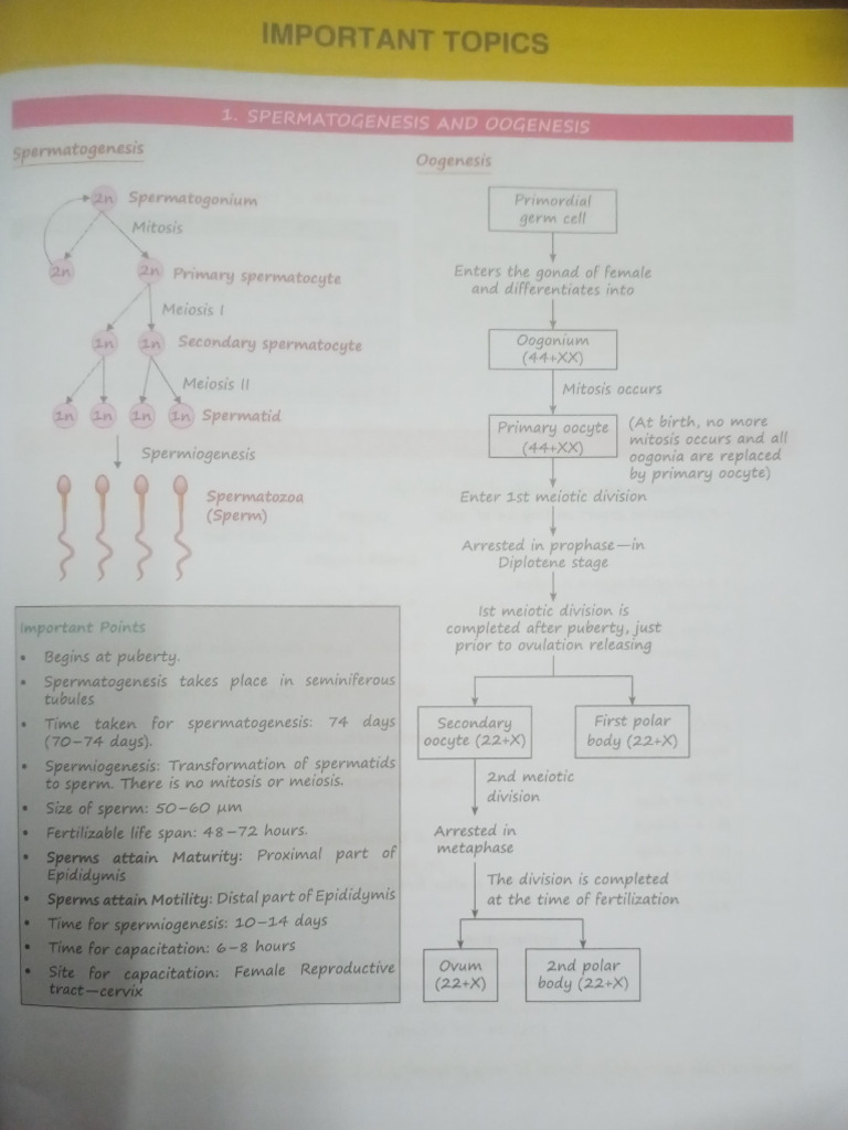 Obg Onetouch - 231205 - 153944 | PDF