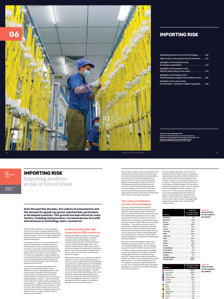 GSI 2023 CH06 Importing Risk | PDF