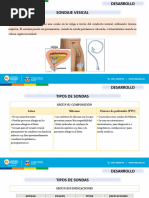 Guía para Evaluación de Reflejos | PDF | Codo | Anatomía humana