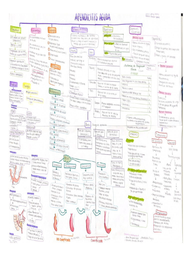 Apendicitis Mapa Conceptual Laura Prieto | PDF