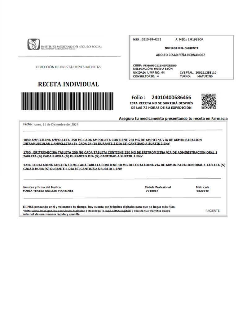 IMSS | PDF