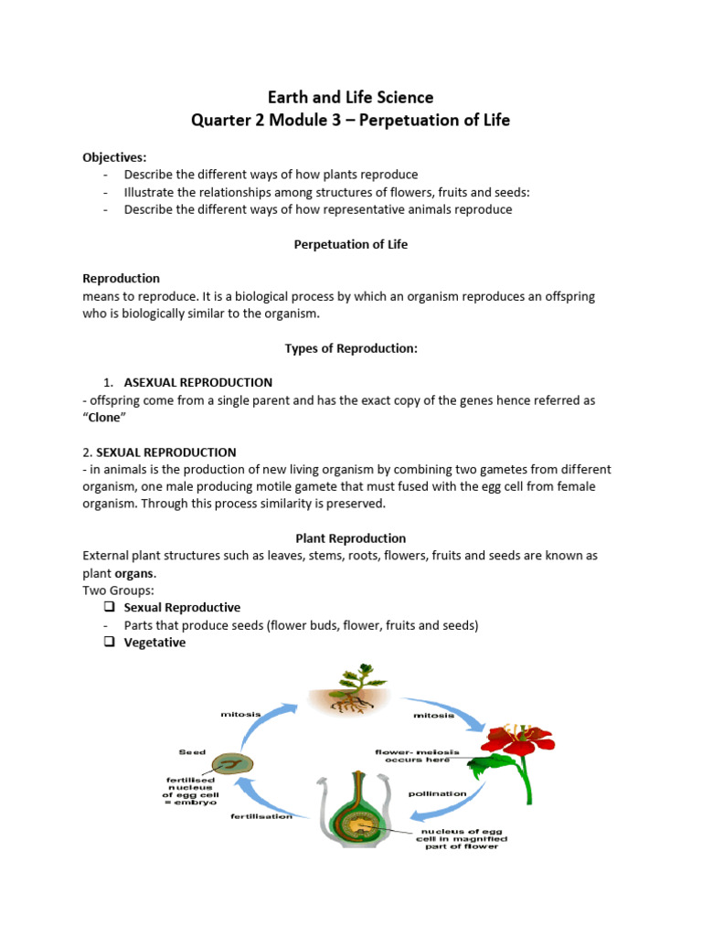 Plant and Animal Reproduction Overview | PDF | Flowers | Plant Reproduction