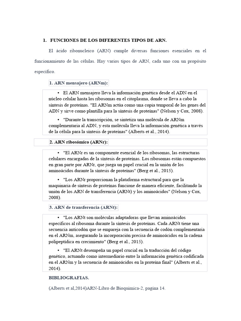 Informe Grupal Practica. | PDF