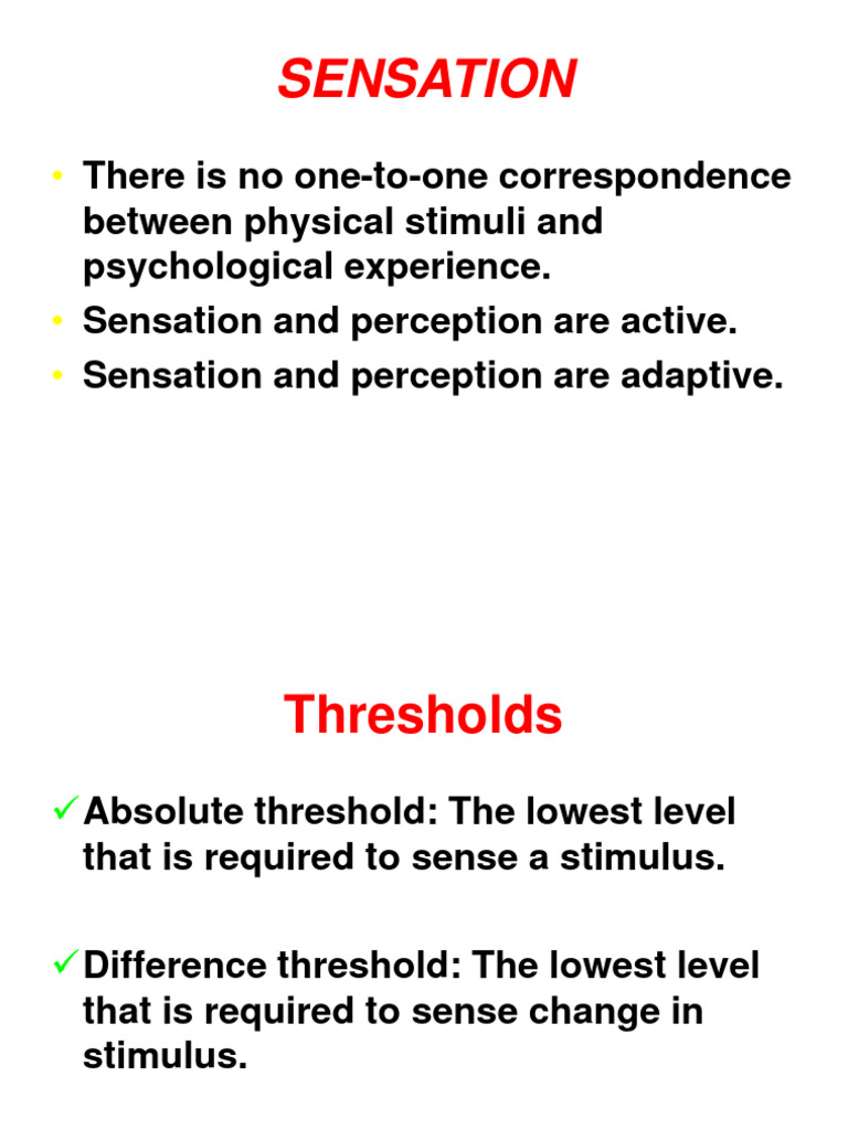 Understanding Sensation and Perception | PDF | Perception | Senses