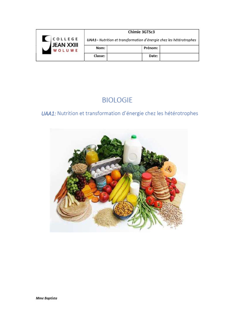 3gtsc3 Biologie Uaa1 Baptista | PDF