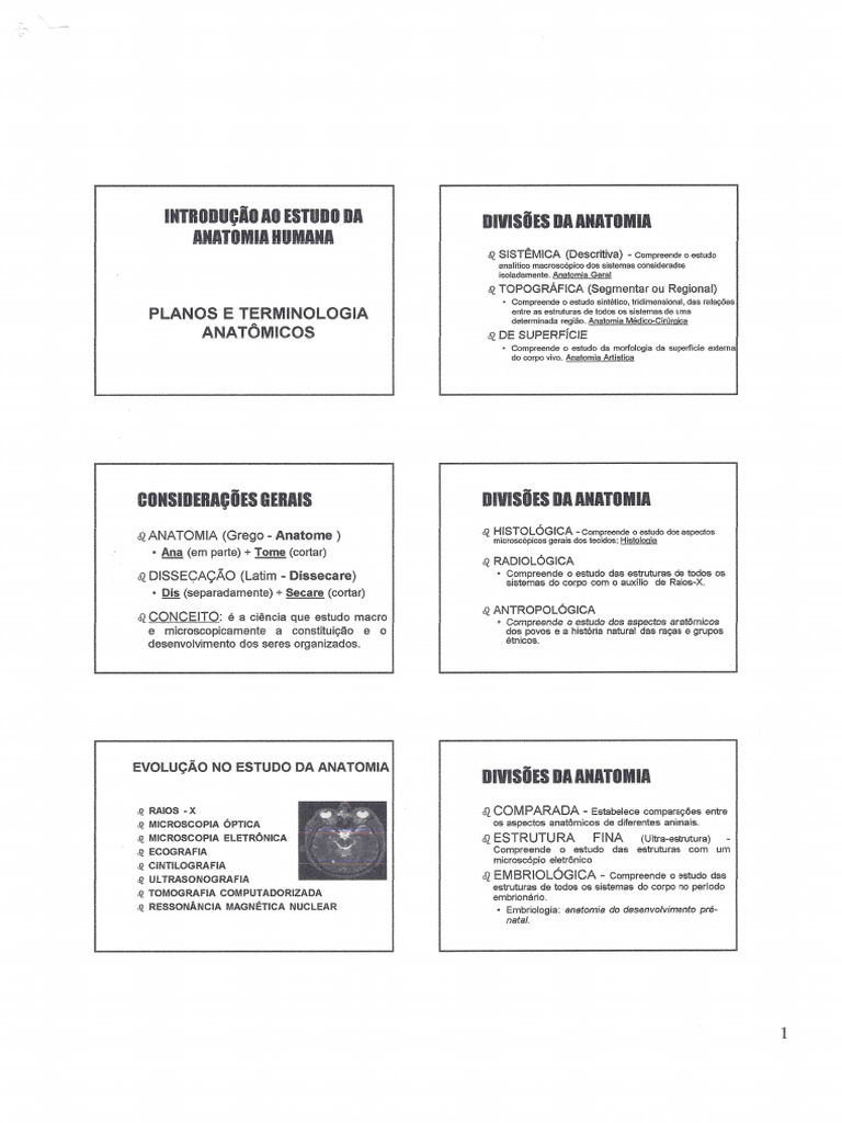 Slide Anatomo-Fisiologia | PDF