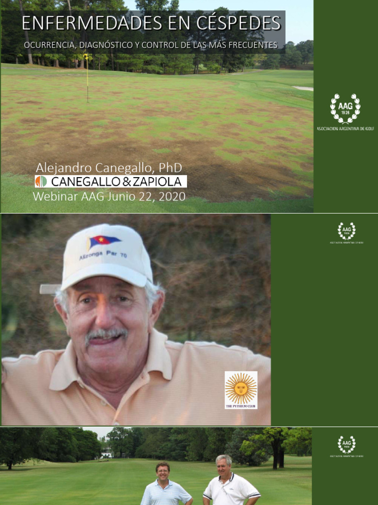 Enfermedades AAG | PDF | Patologia de planta | Plantas