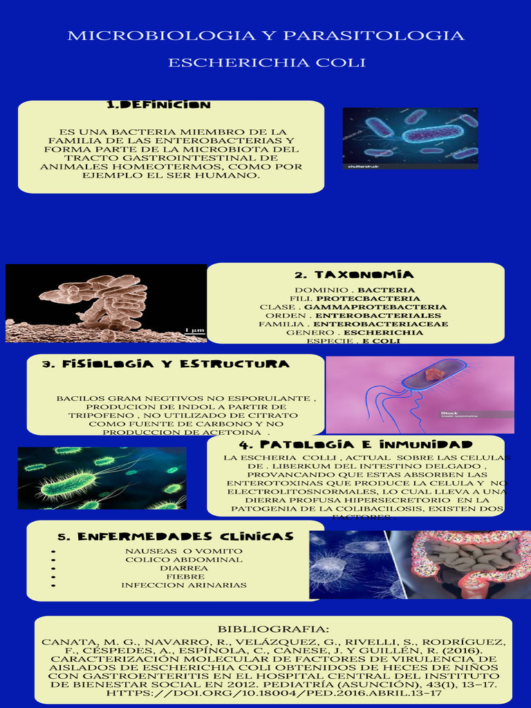 MICROBIOLOGIA Y PARASITOLOGIA INFOGRAFIA | PDF