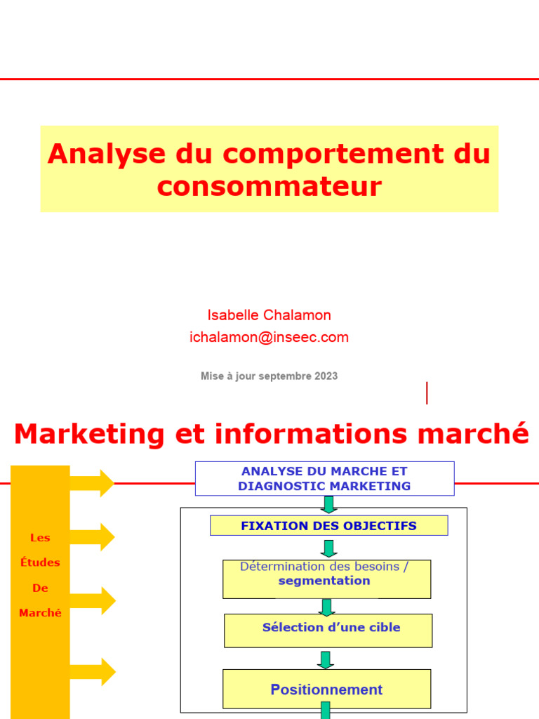 Le Comportement Du Consommateur - Principaux Concepts | PDF