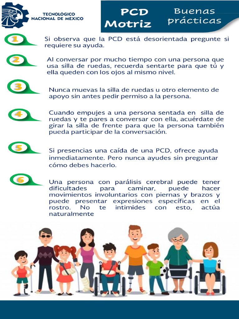 INFOGRAFIAS DISCAPACIDAD - Motriz | PDF