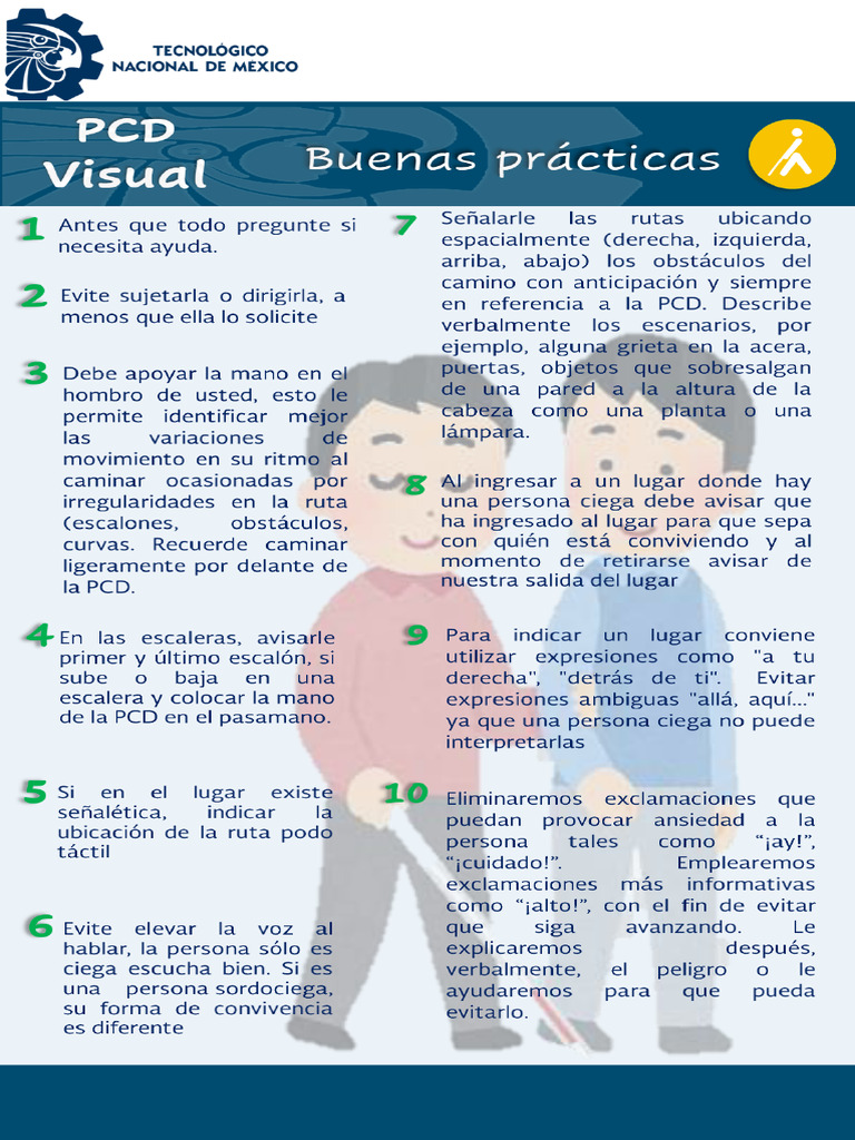 INFOGRAFIAS DISCAPACIDAD_pcd visual | PDF