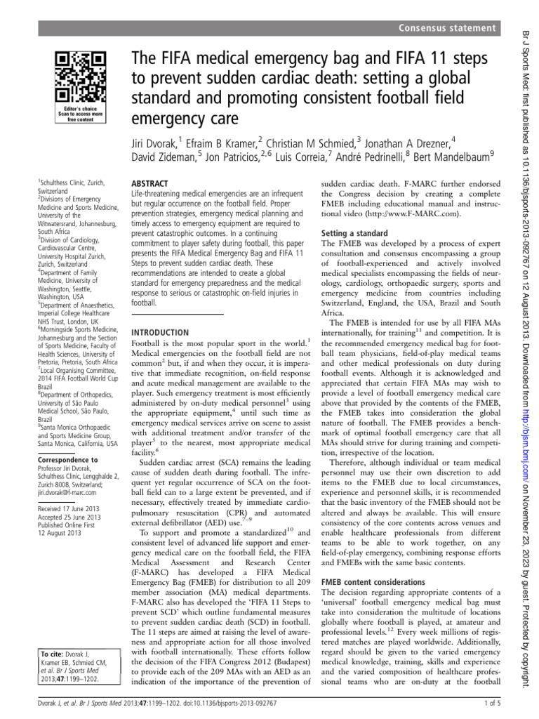FIFA Medical Bag (Dvorak Et Al 2013) | PDF