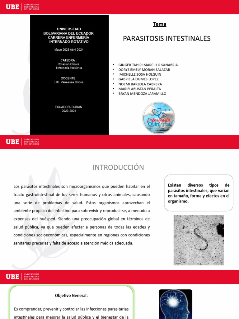 Parasitosis Intestinal | PDF