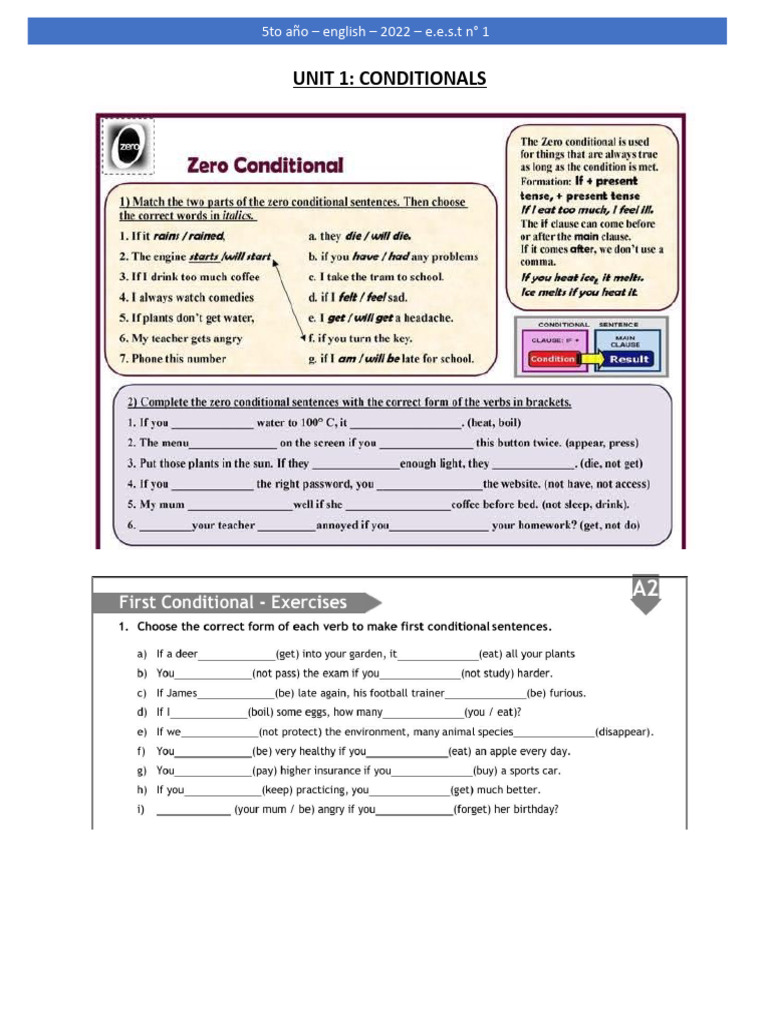 5to y 6to Año - Conditionals - Relative Clauses | PDF