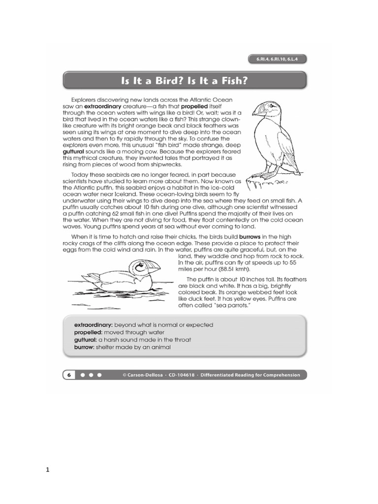 Differentiated Reading For Comprehension, Grade 6 | PDF