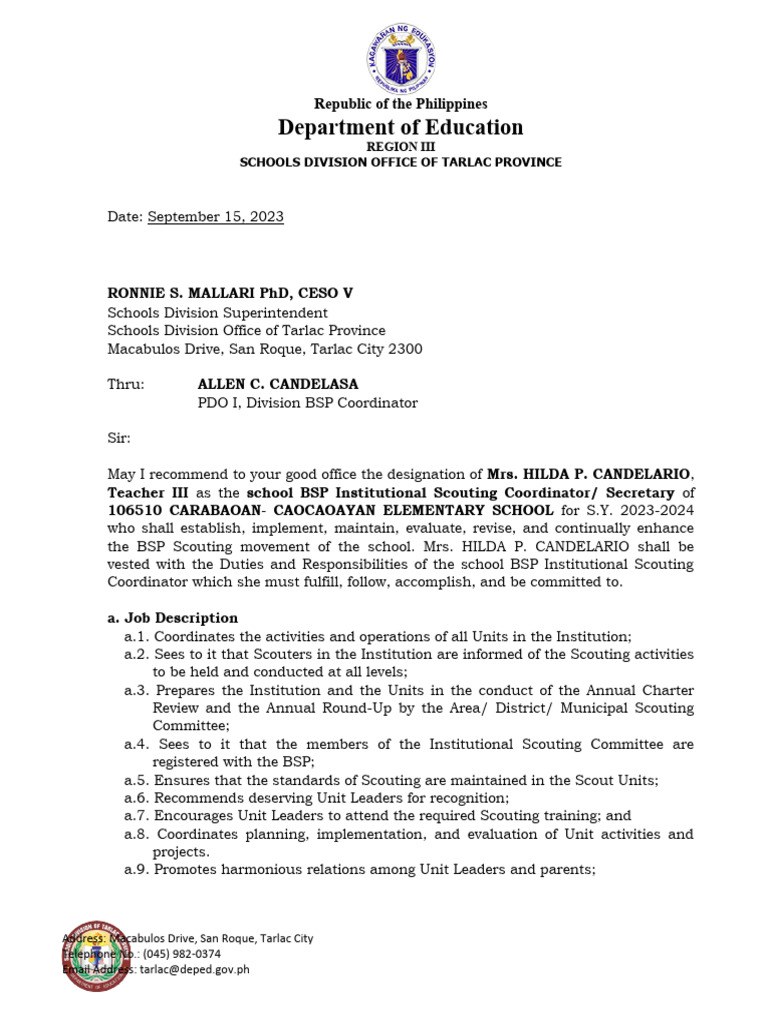 Recommendation Letter Form - BSP | PDF