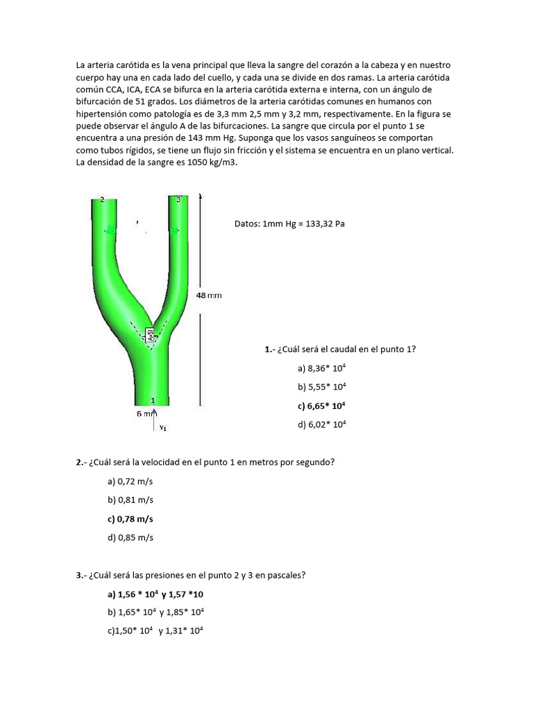 Ejericio 2 Arteria | PDF