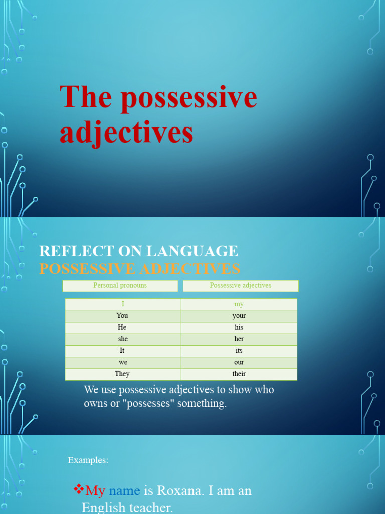 Possessive Adjectives Guide | PDF