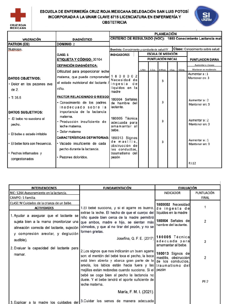 Place Lactancia Ineficaz | PDF