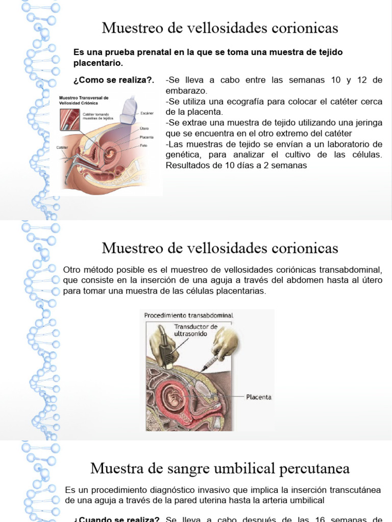 Vellosidades Corionicas | PDF | Feto | Especialidades Medicas
