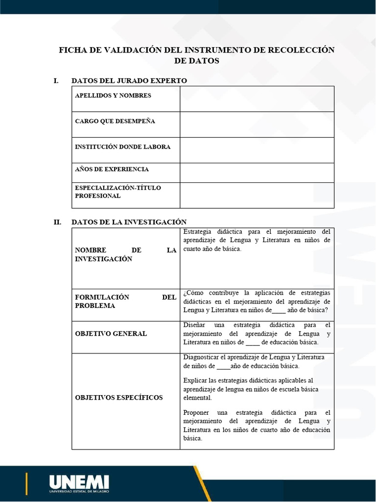 Formato de Validacion de Expertos | PDF