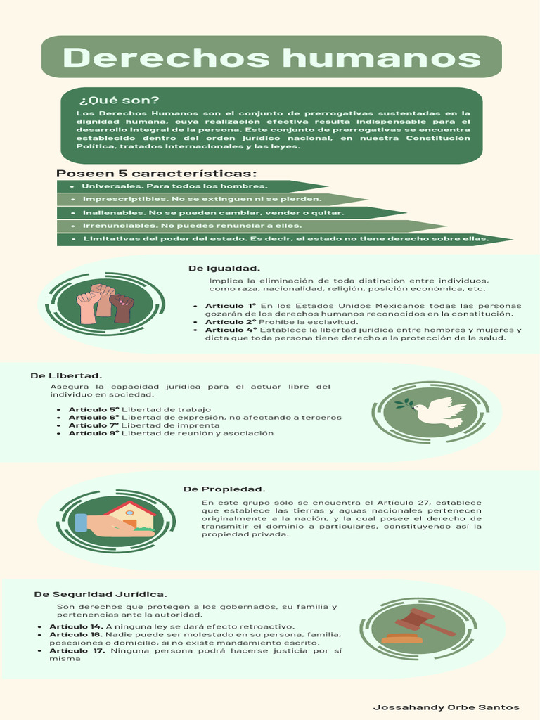 Infografia de Los Derechos Humanos | PDF