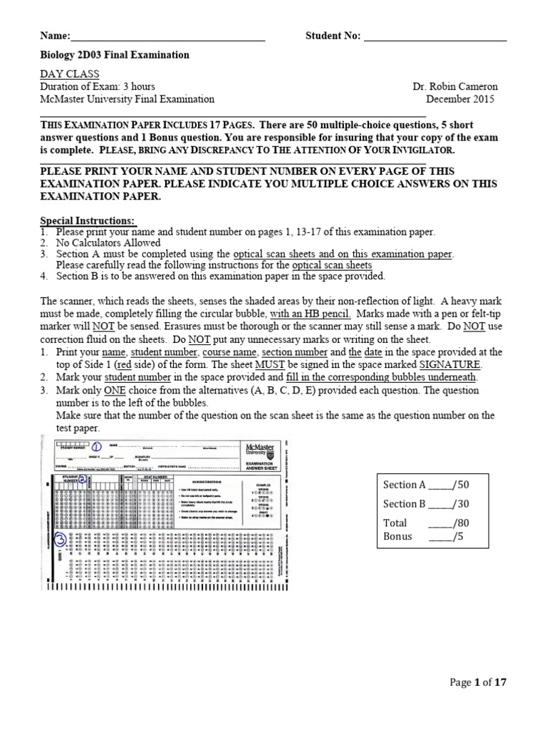Practice Exam Answers PDF | PDF