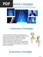 Musculos Quadril Tabela | PDF | Quadril | Anatomia dos membros inferiores