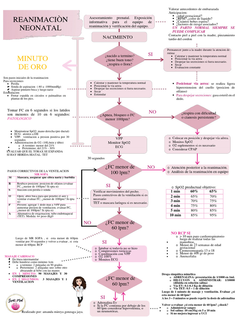 Reanimacion Neonatal | PDF | Reanimación cardiopulmonar ...