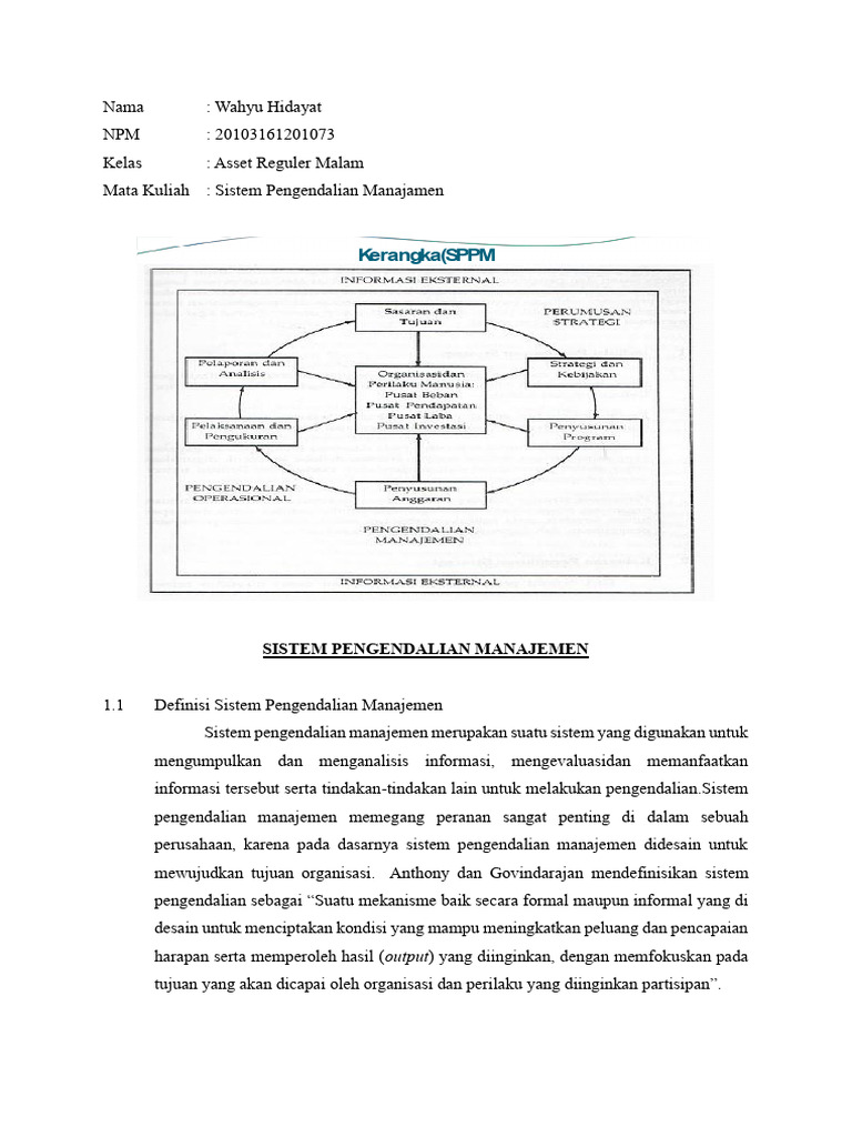 Proses Sistem Pengendalian Manajemen | PDF