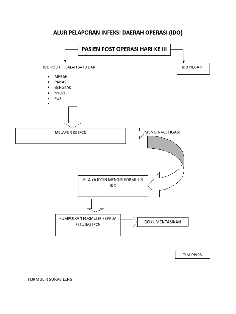 Alur Pelaporan Ido | PDF