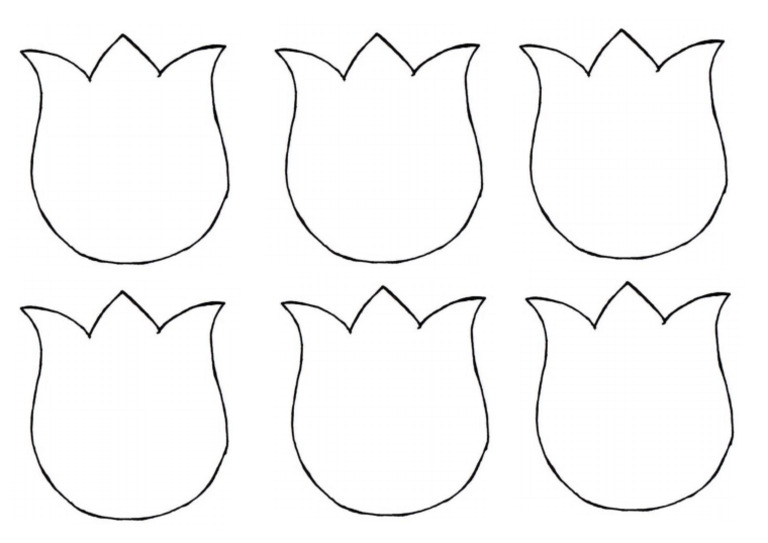 Tulip Template | PDF