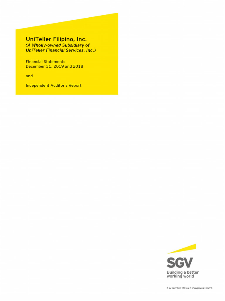 Afs (2019) | PDF | Financial Audit | Going Concern