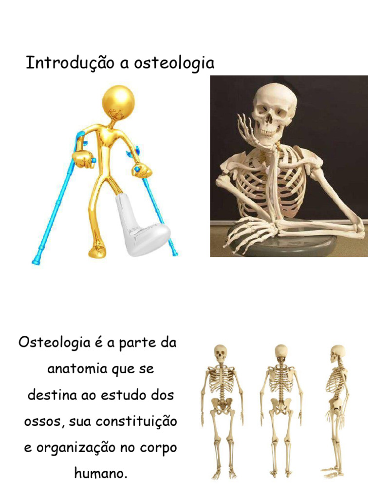 Introdução à Osteologia Humana | PDF