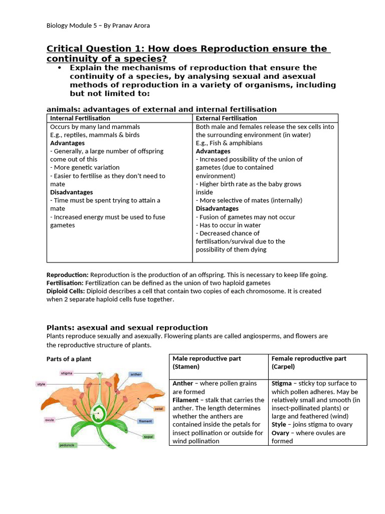 Biology Notes Module 5 Detailed | PDF | Translation (Biology) | Meiosis