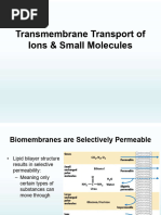 Amoeba Sisters Video Recap | PDF | Cell Membrane | Cell (Biology)